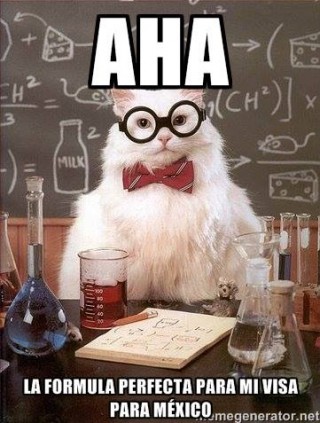 Ejemplo-meme - Luis Maram